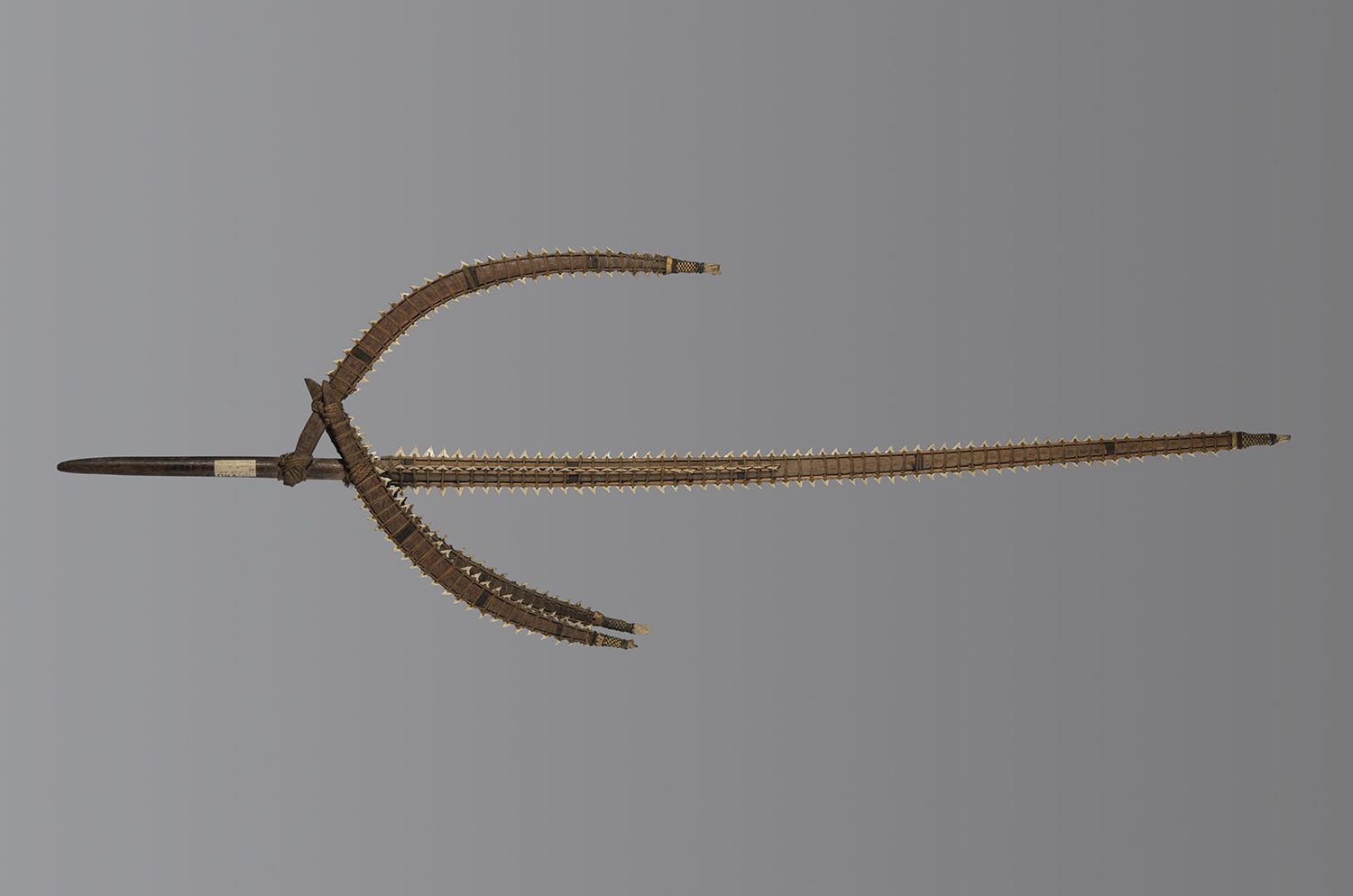 Don’t Believe Everything You’re Told… - Cambridge University Museums