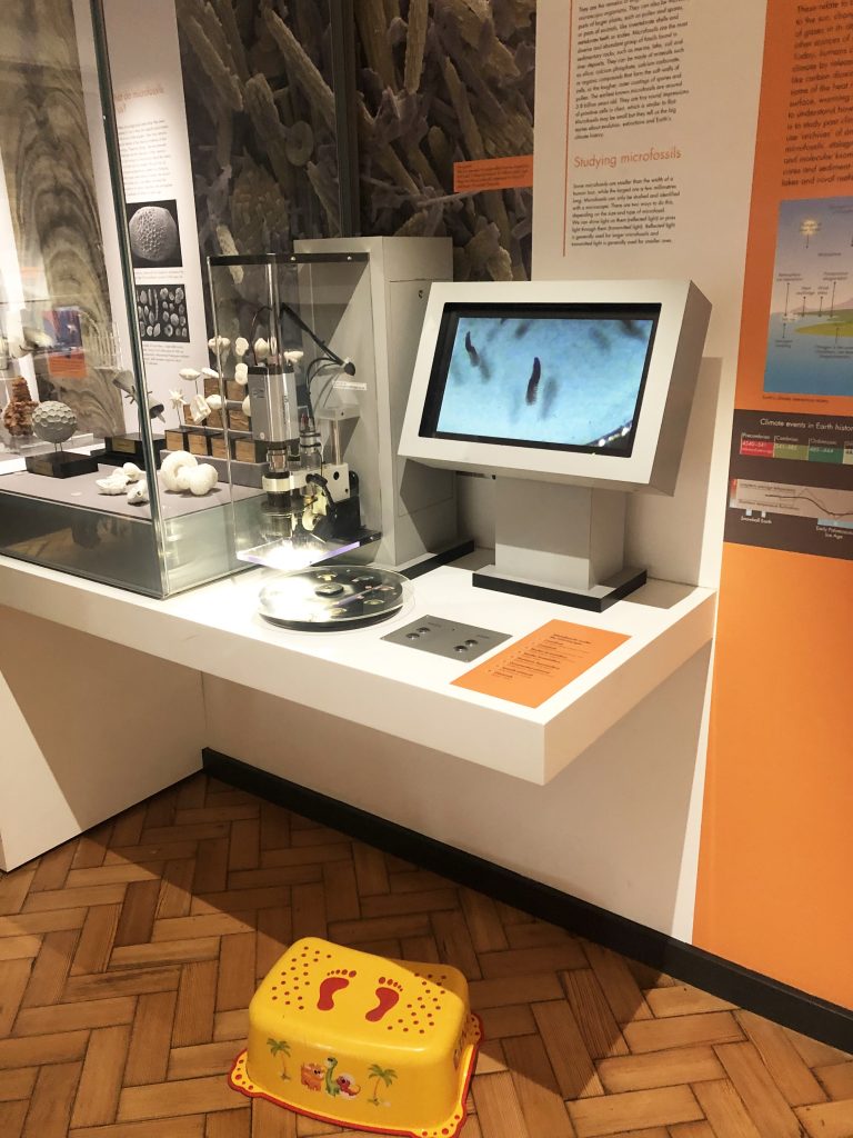 Permission to Play - Cambridge University Museums