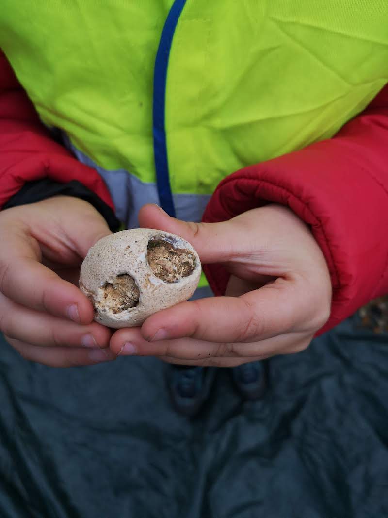 Gravel Hunters - Cambridge University Museums