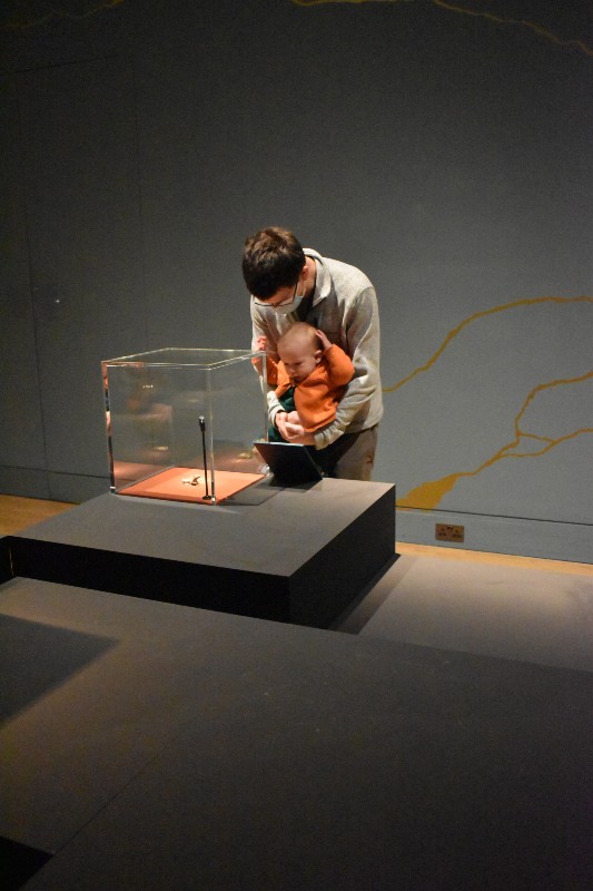Gurgling in the Galleries - Cambridge University Museums