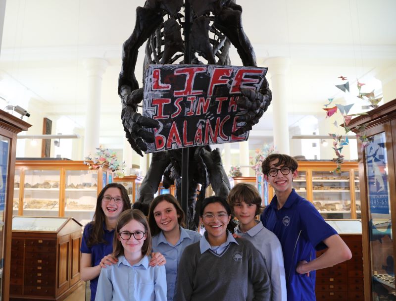 University of Cambridge Museums Activity Update, January – March 2024 ...