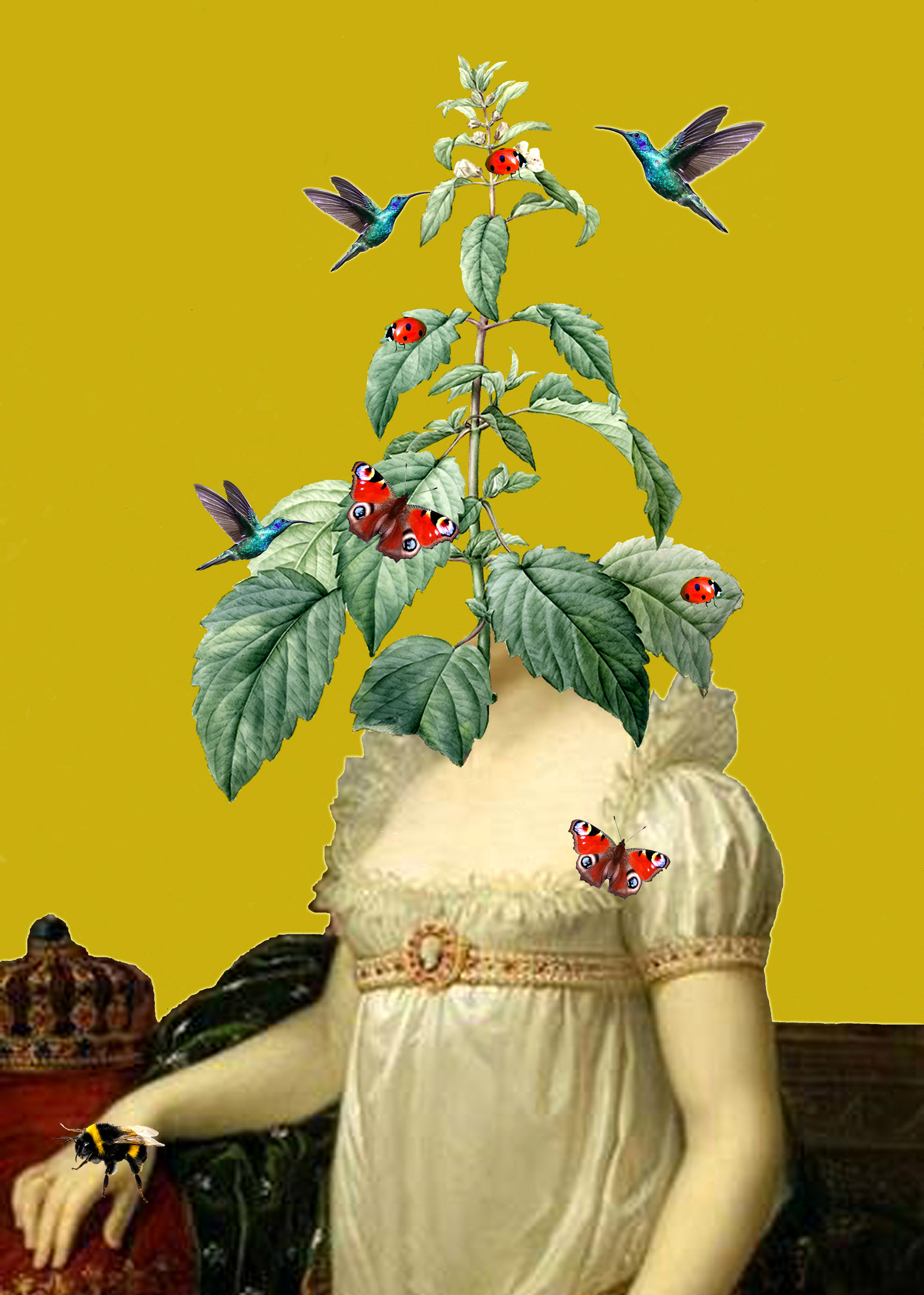 Josephine Hybrid | University of Cambridge Museums