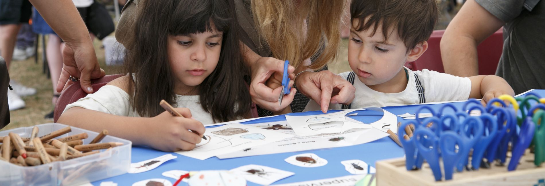 Wonderful Wednesdays in Summer: Cardboard Cactus | University of ...