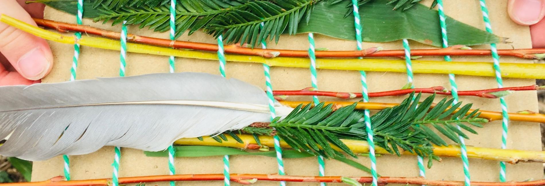 Wild Weaving | University of Cambridge Museums