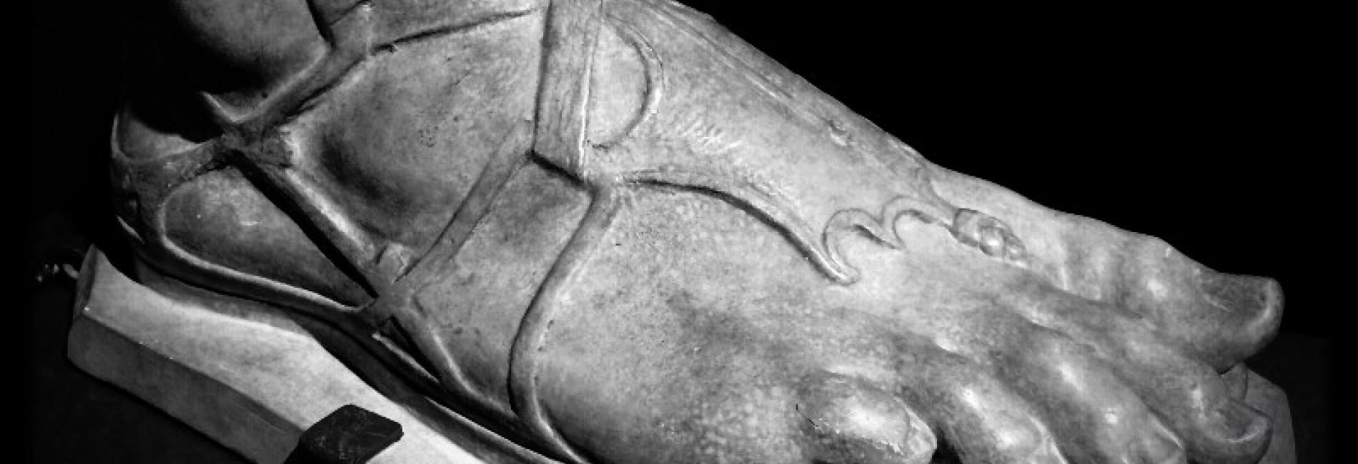 Make your own Plaster Cast | University of Cambridge Museums