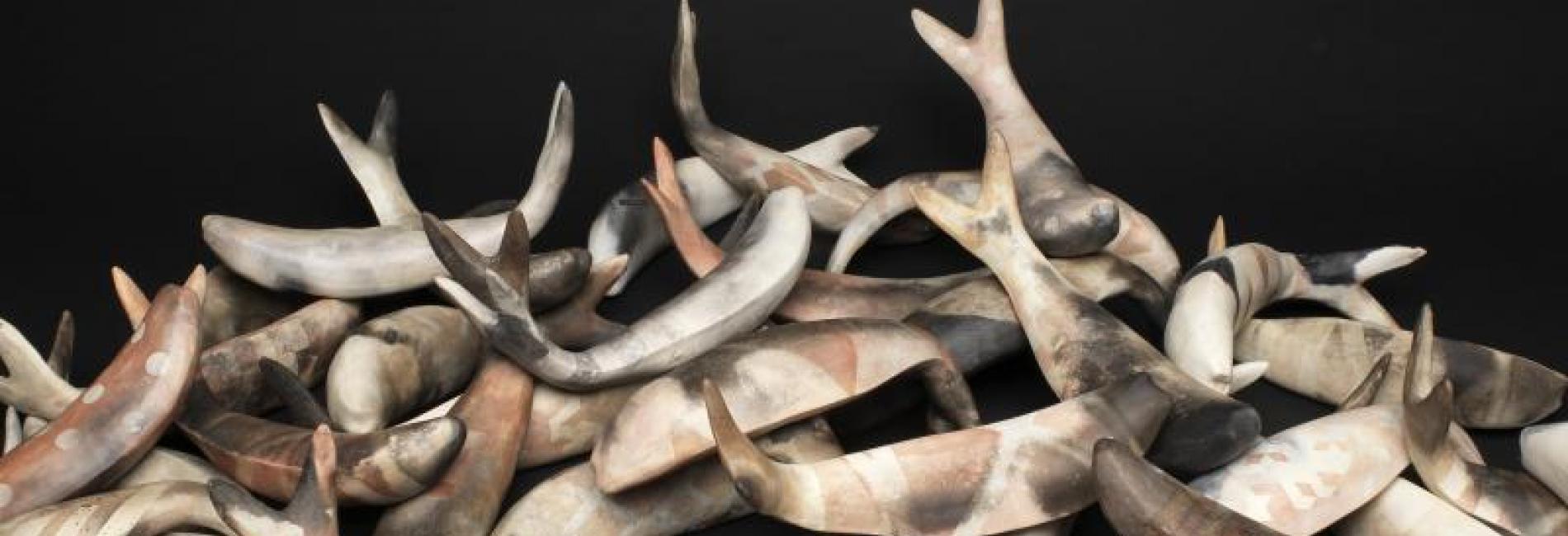 Online | What Clay Can Say | University of Cambridge Museums