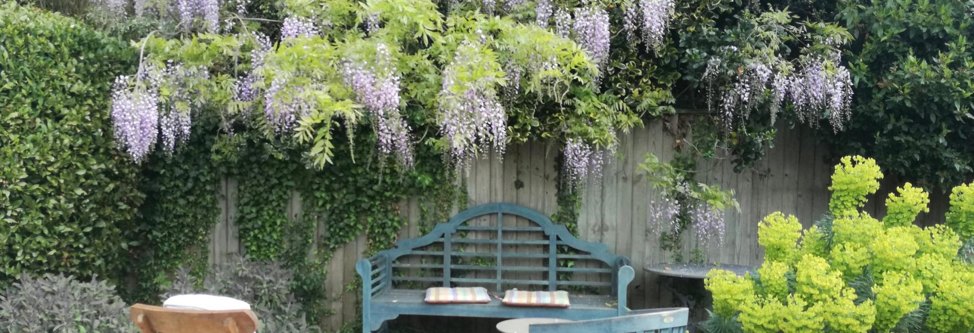 CLASSROOM COURSE Creative garden writing | University of Cambridge Museums