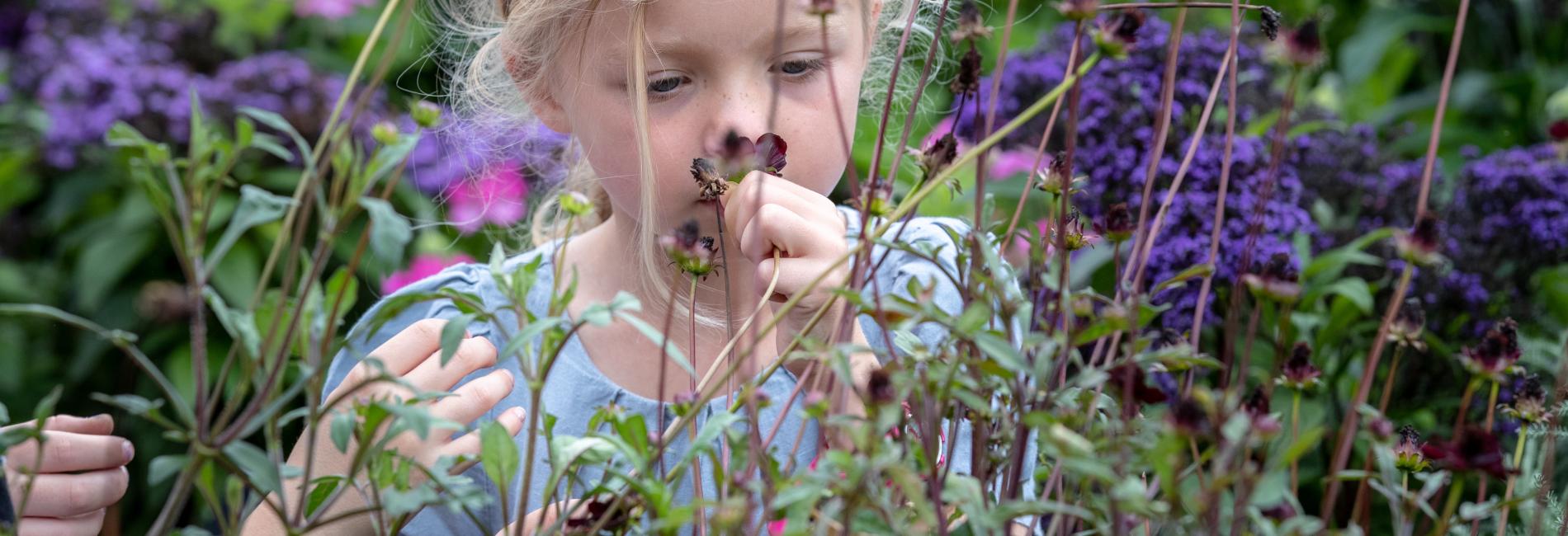 EYFS workshops at the Botanic Garden | University of Cambridge Museums