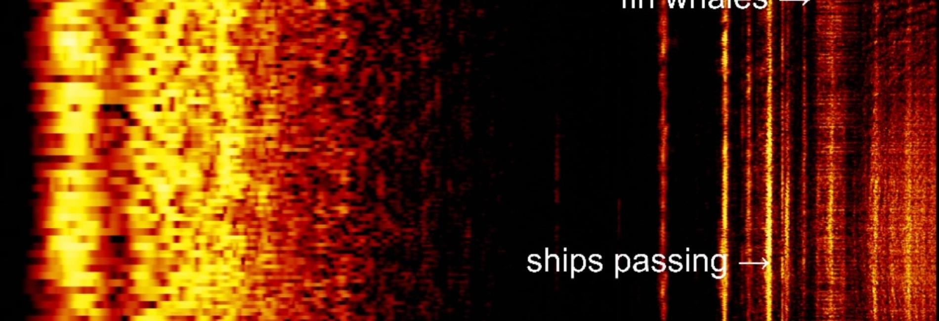 David Stalling and Sergei Lebedev: Earth Traces - Tour and Conversation ...