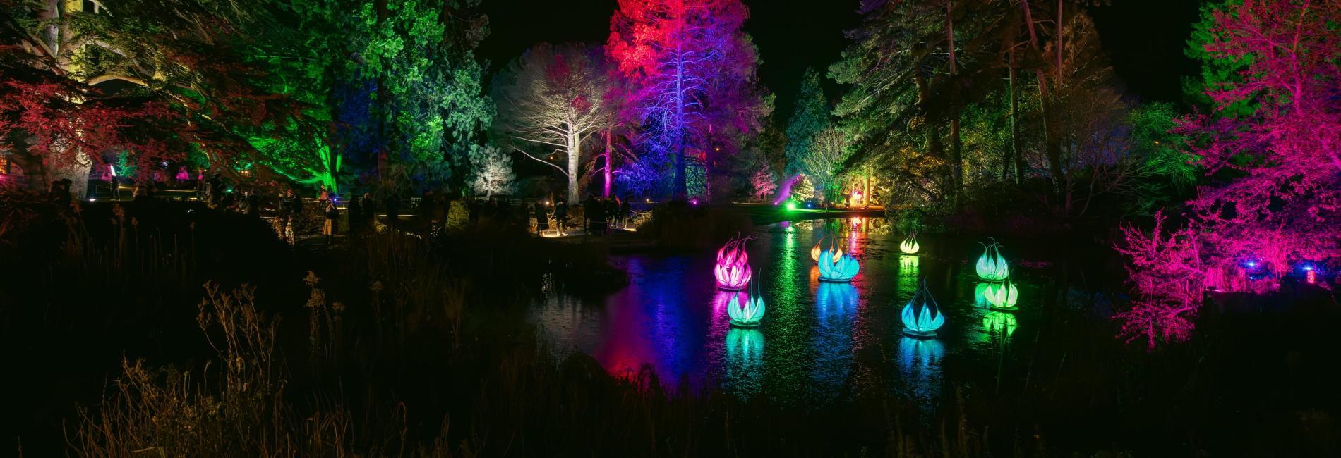 Cambridge Botanic Lights 2024 | University of Cambridge Museums