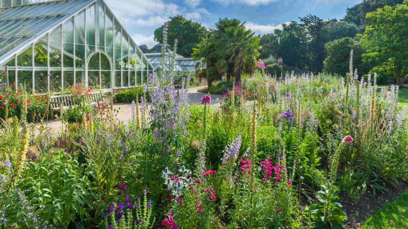 Cambridge University Botanic Garden | University of Cambridge Museums